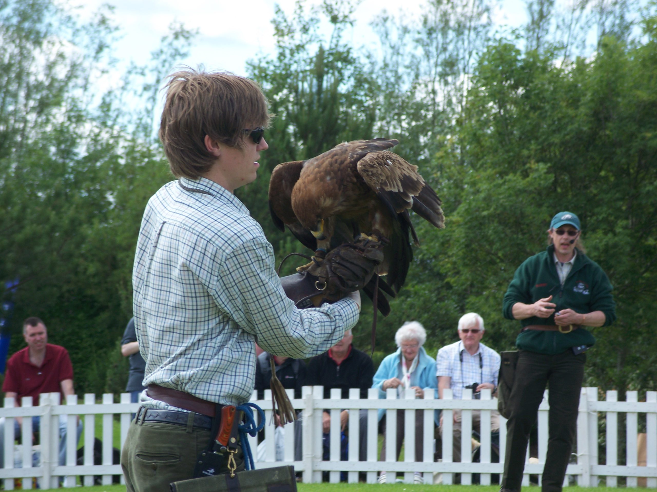 Falconry-in-the-Countrysde-Arena | The Scottish Banner