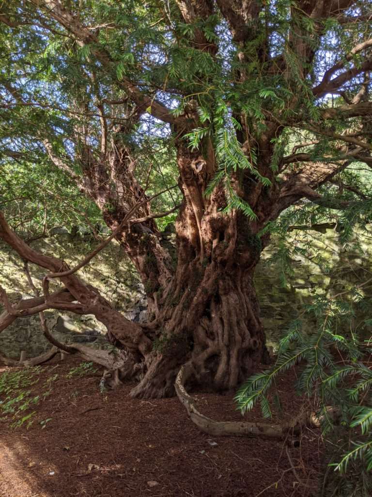 My Five Favourite Ancient Sites | The Scottish Banner