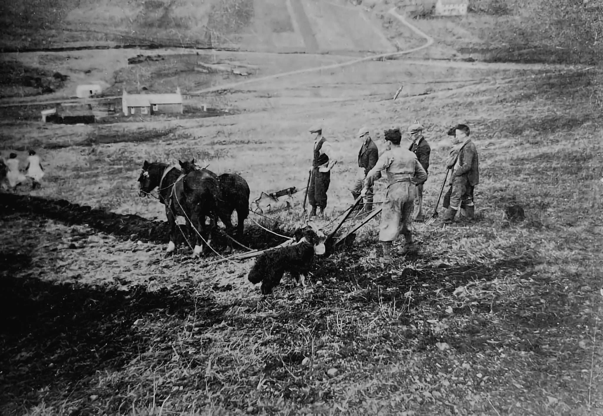 Minginish Centenary Project-Celebrating 100 years of resettlement on ...