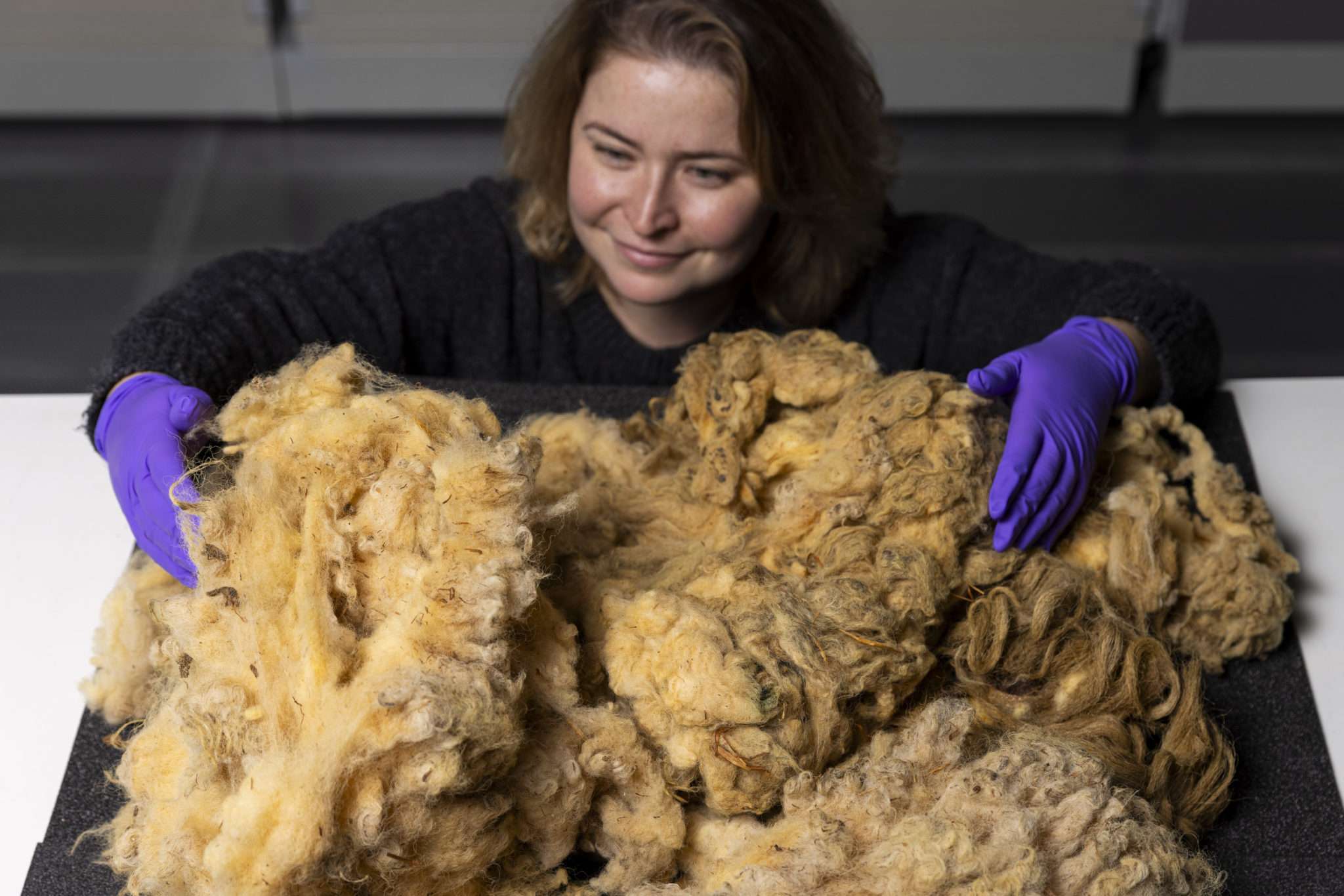 National Museums Scotland gifted fleece of Dolly the Sheep | The ...