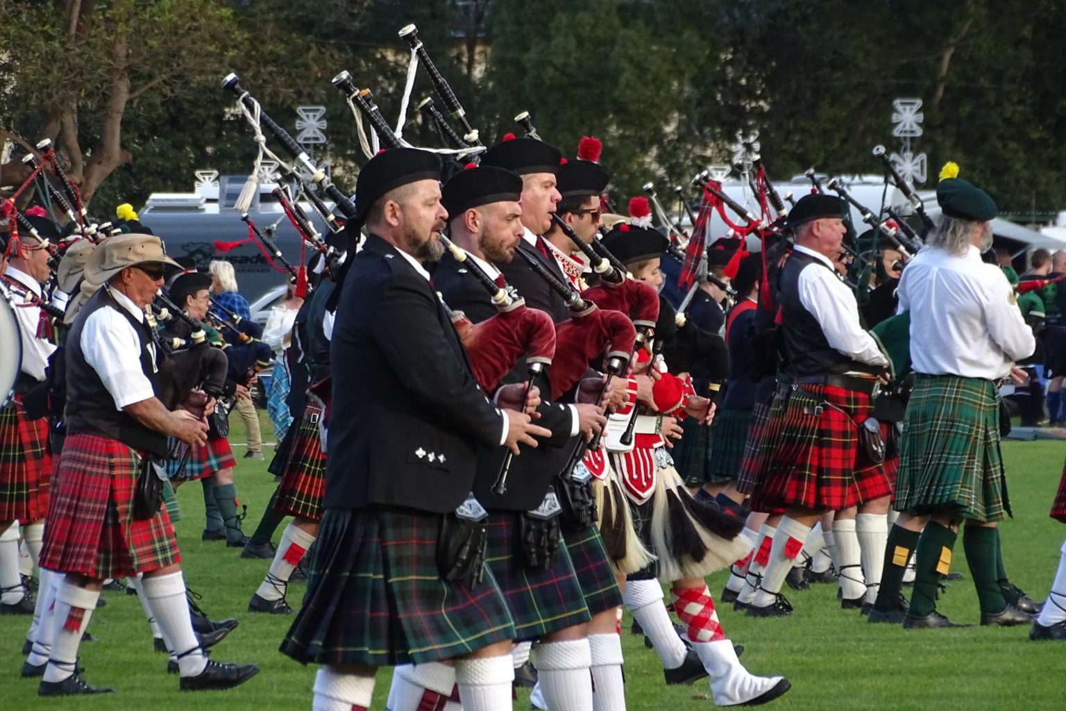 The Berry Celtic Festival-Where Celtic Spirits Unite | The Scottish Banner