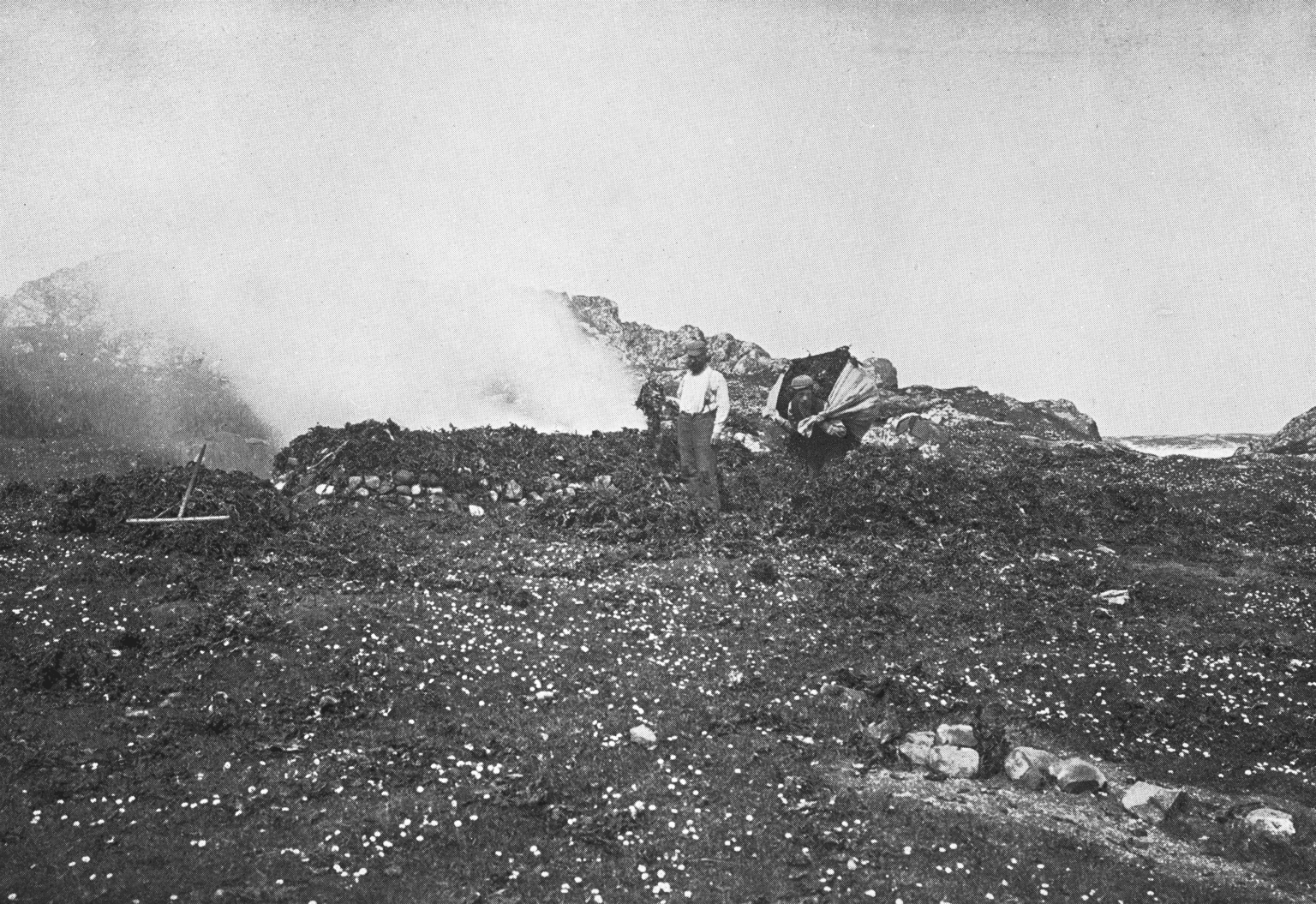 The Highland Clearances | The Scottish Banner