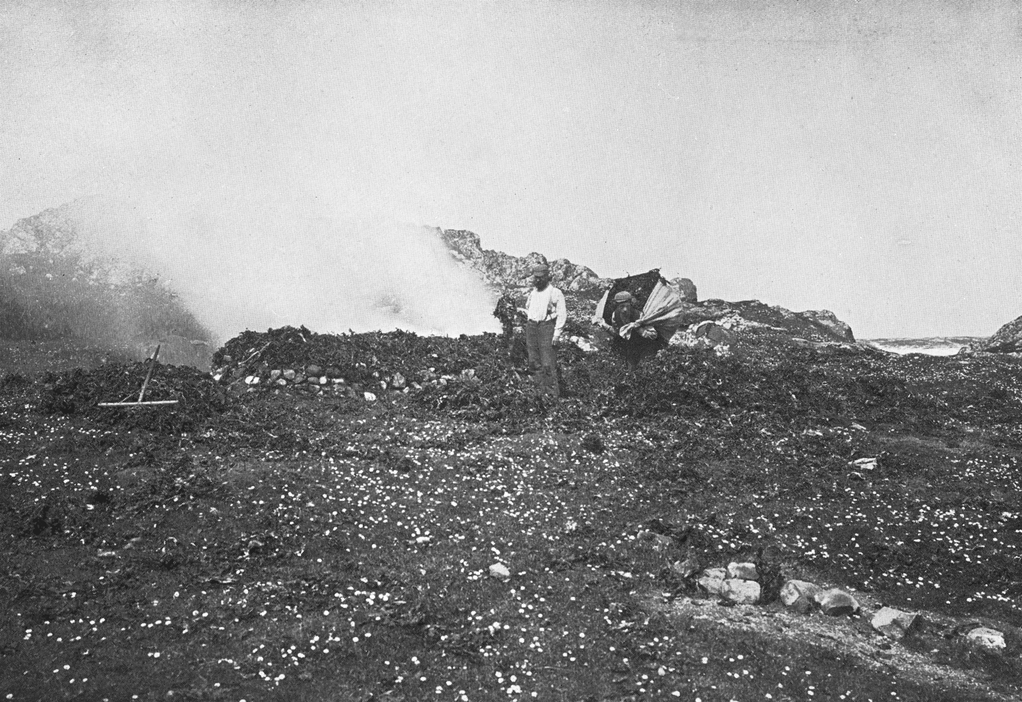 The Highland Clearances | The Scottish Banner