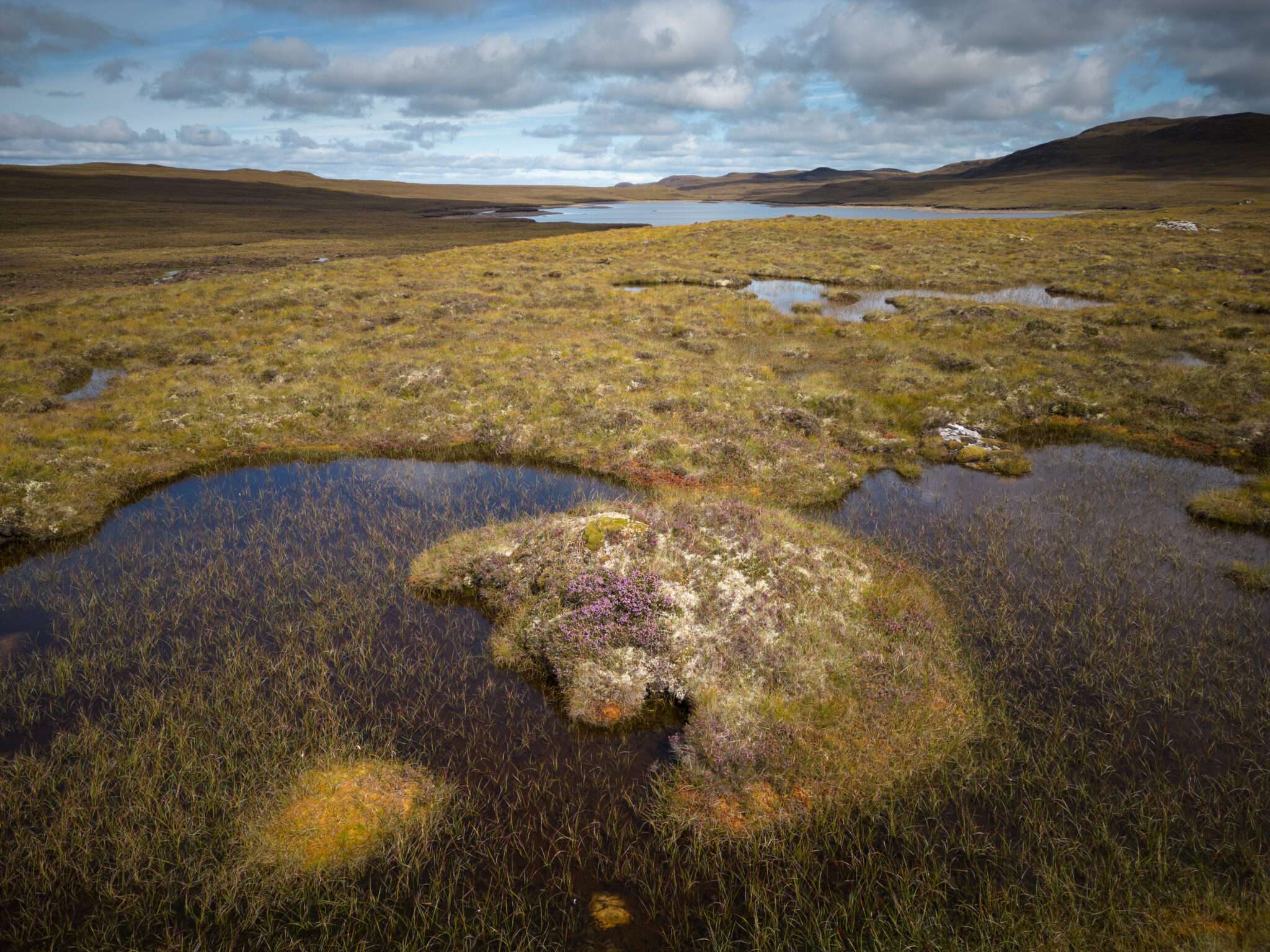 Landscape of globally rare habitat restored near Loch Ness in one of ...